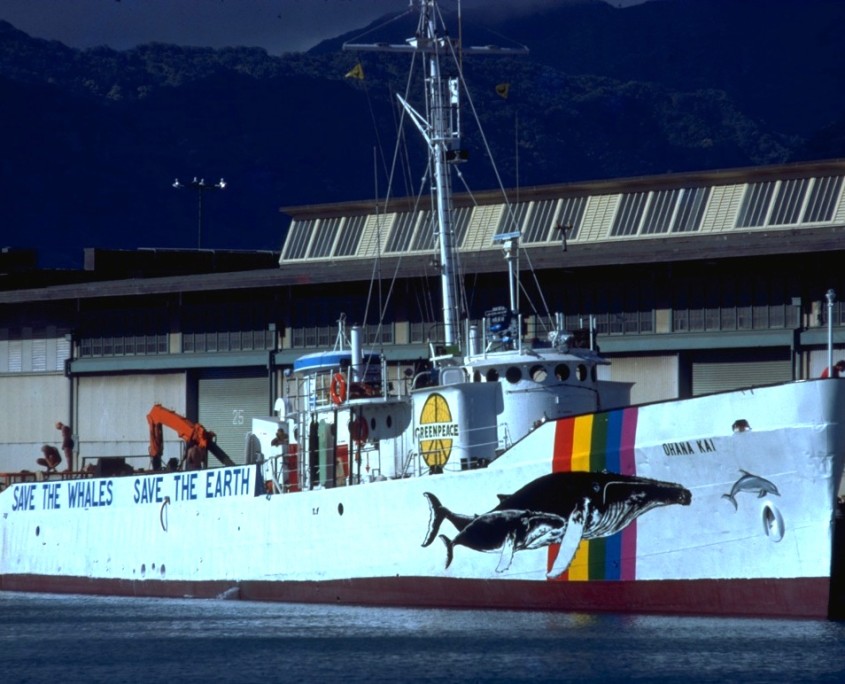 ABOUT US – GREENPEACE FOUNDATION